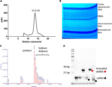 Cell Press Star Protocols