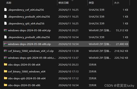 vs2022，编译最新版obs30 1 vs2022编译obs csdn博客