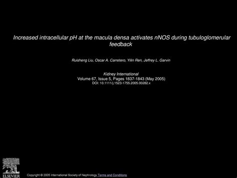 Ruisheng Liu Oscar A Carretero Yilin Ren Jeffrey L Garvin Ppt
