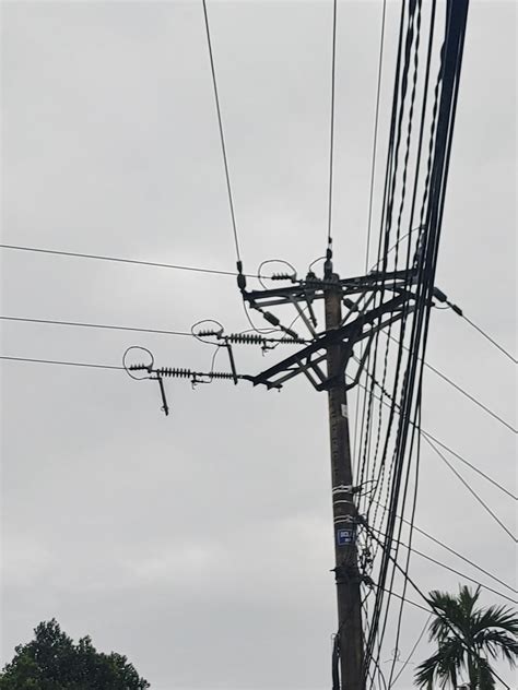 Dcl Tt Object Detection Dataset By 2th