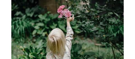 Naturalistic Intelligence Definition Characteristics And Real Life