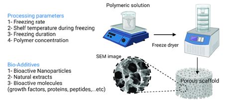 Freeze Drying Technique And Its Processing Parameters And Additives Download Scientific