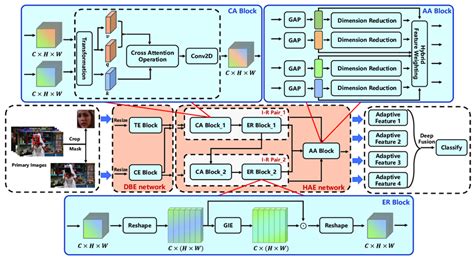The Proposed Cross Attention And Hybrid Feature Weighting Network Download Scientific Diagram