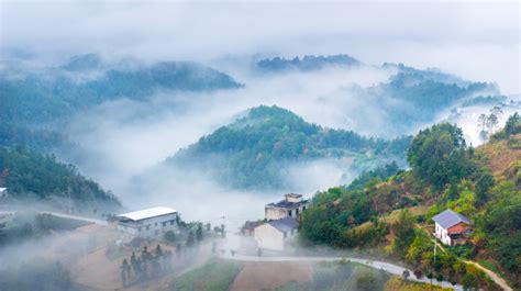 春阳暖春风柔让我们在这个春天为地球 植 此青绿 让家园四季皆春 哈了视频 竹溪新闻网 竹溪县新闻门户网