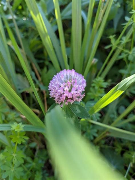 Why Is Vbnetcxaml Vs2019 Is Better Than Vb6 Heres Why