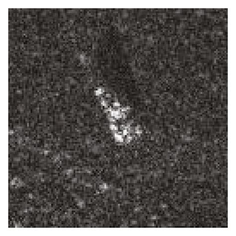 Image After Adding Different Noises Download Scientific Diagram