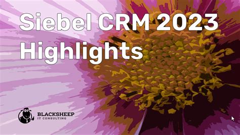 Siebel Crm 2023 Highlights The Siebel Hub