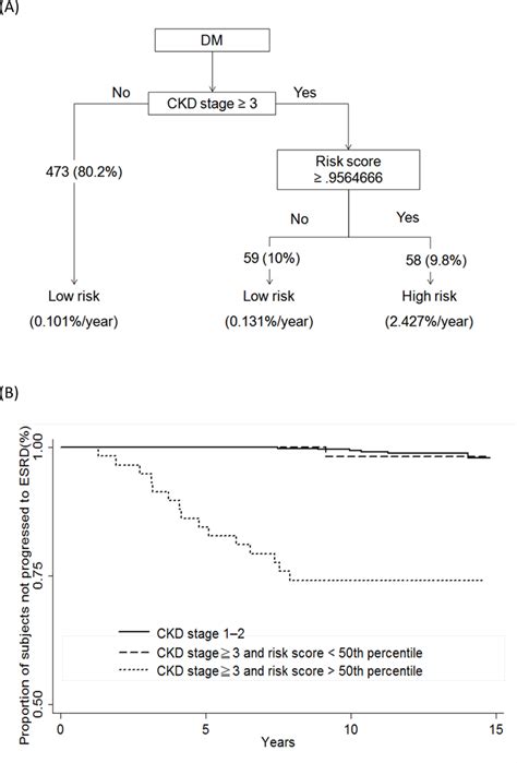 A Algorithm For Risk Of Dialysis In Subjects With Type 2 Diabetes Download Scientific