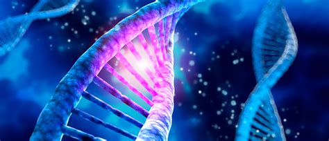 Ctdna Minimal Residual Disease Recurrence Monitoring Endometrial Cancer