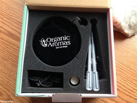 Nebulizing Diffusers Versus Ultrasonic Diffusers Which Is Better