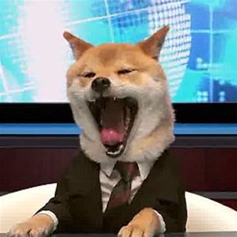 Turtlebot™ Discord Bots