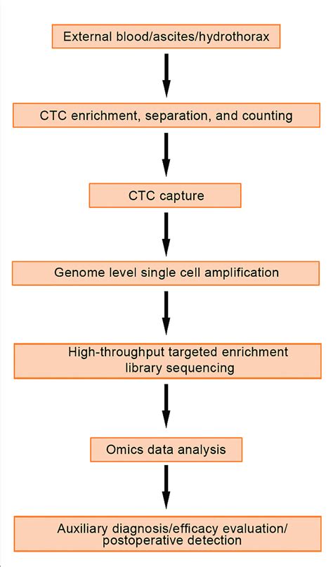 Detection Process And Application Of Circulating Tumor Cells Download Scientific Diagram