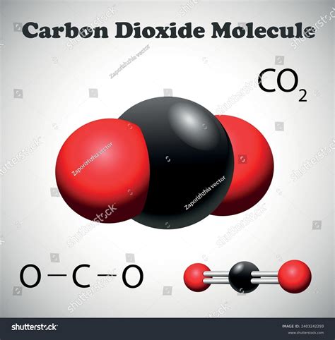 How To Draw Carbon Dioxide