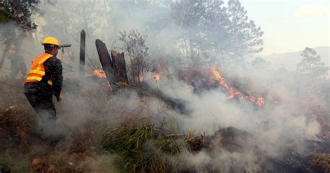 Más De 3 Millones De árboles Consumidos Por El Fuego En Honduras