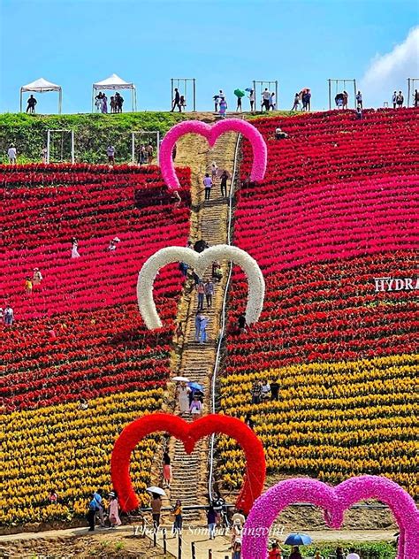 ทุ่งโซลีเซีย เขาค้อ จ เพชรบูรณ์ Unseen Tour Thailand