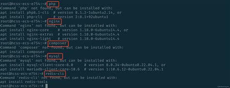 华为云云耀云服务器l实例评测｜企业项目最佳实践之包管理工具安装软件六
