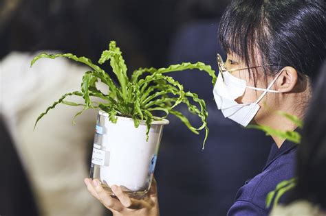 교실숲이 불러온 변화를 이야기하다 선생님이 들려주는 우리 교실숲 후기 숲과 나무에 대한 이야기 매거진