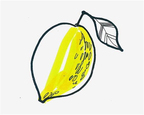 1一9岁儿童画大全 实用简笔画柠檬怎么画图解教程（小马简笔画大全） 有点网 好手艺