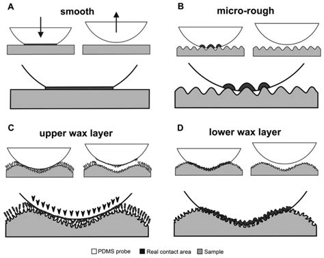 Scheme Explaining Hypothetical Surface Interactions Between Different