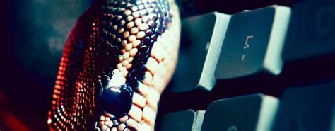 Desarrollo De Una Interfaz De Línea De Comandos En Python Interacción