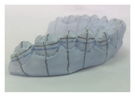 Horizontal And Vertical Reference Lines Download Scientific Diagram