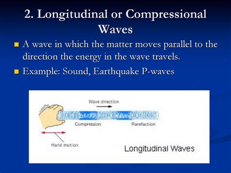 Structure And Function Ppt Download