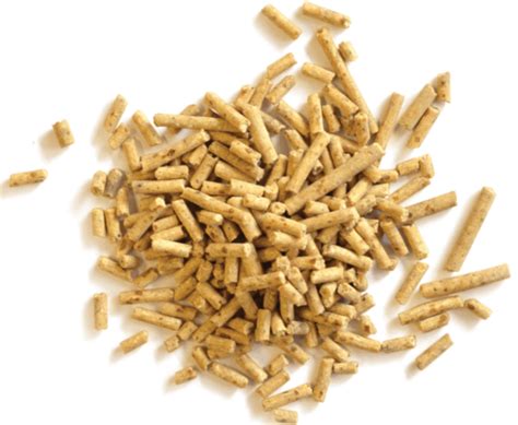 Poultry Feed Islamabad Group Of Companies