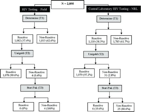 Flowchart Of The National Serial Hiv Rapid Testing Algorithm Performed