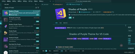 2025年最受欢迎的 19 个 Vscode 主题排行榜：推荐使用13号vs Code主题 Vscode Theme Csdn博客