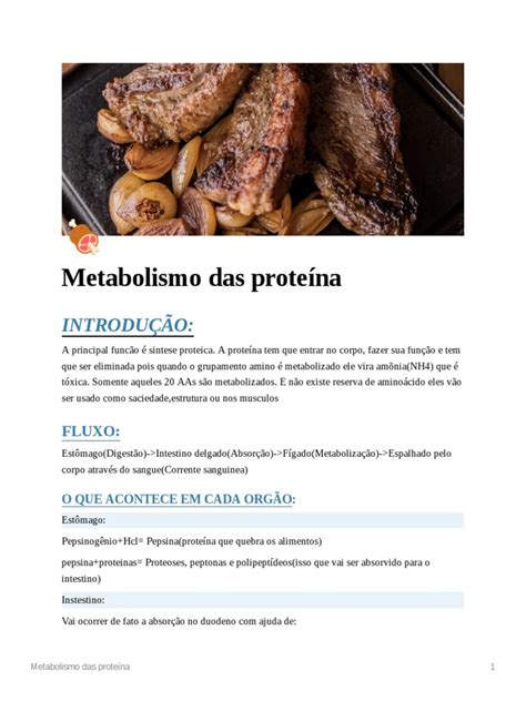 Metabolismo Das Proteina Pdf Proteínas Metabolismo