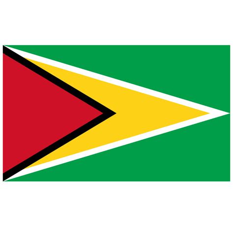 Bandera De Guyana Con Dobladillo De Poste De Nailon De 4x6 Pies Bandera Banderas Nailon
