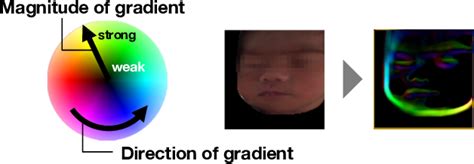 Figure 3 From Automatic Classification Of Neonatal Sleep Wake States Based On Facial Video