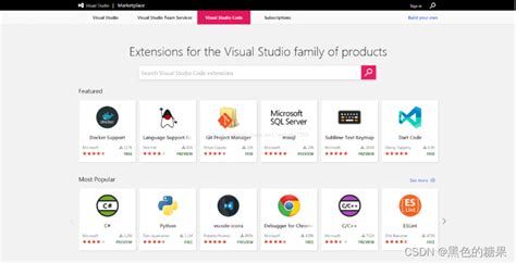 内网离线安装vscode插件vscode内网安装插件 Csdn博客