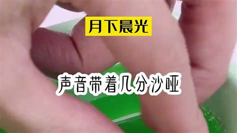 月下晨光 小说推荐 文荒推荐 虐文推荐 推文日常 YouTube