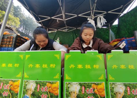 丹寨：春节年货市场俏 椪柑采收供应忙