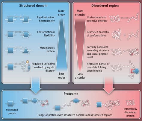Versatility From Protein Disorder Science
