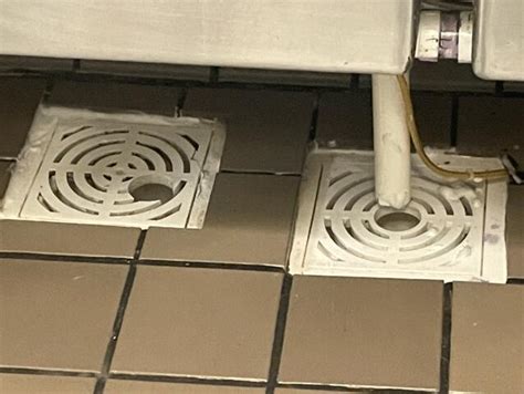 Cowleys Pest Services Before And After Photo Set Floor Drains Loaded With Fruit Flies In