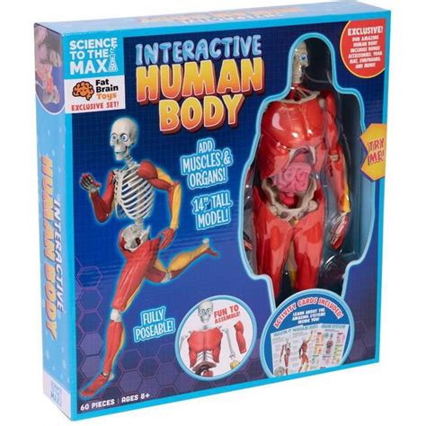 Fat Brain Toys Our Amazing Human Body Science Activity Kit • Price