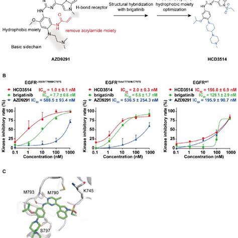 The Synthesis And Kinase Inhibitory Activities Of Hcd3514 A Design Download Scientific