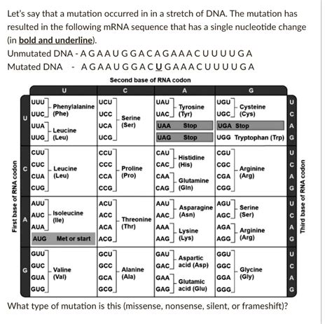 Solved Let S Say That A Mutation Occurred In A Stretch Of Dna The