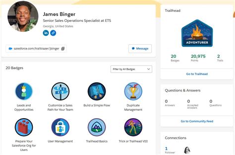 20 Badges Now Achieved On Salesforce Trailhead James Binger