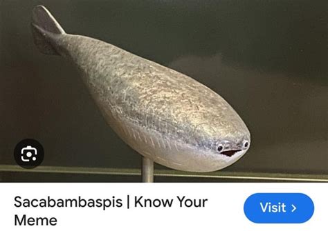 What Is This Extinct Fish Rfish