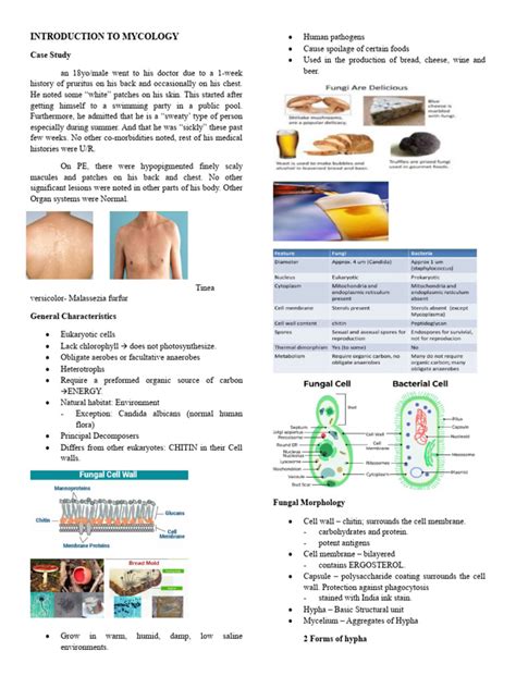 Introduction To Mycology Pdf Sexual Reproduction Fungus