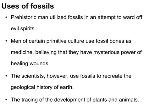 Fossils And Fossilization Ppt