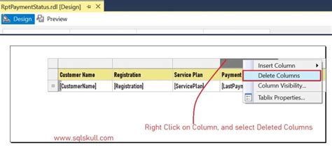 Display Check Box For Active And Inactive Values In Ssrs Sql Bi Tutorials