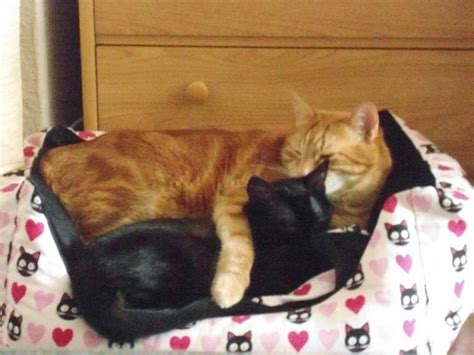 Zzzzzzzzzzzzzzzzzzzzzzzzzzzzzzzzzzzzzzzzzzzzzzzzzz Frinis Teststübchen Zzzzzzzzzzzzzzzzzzzzzzzzzzzzzzzzzzzzzzzzzzzzzzzzzz Frinis Teststübchen