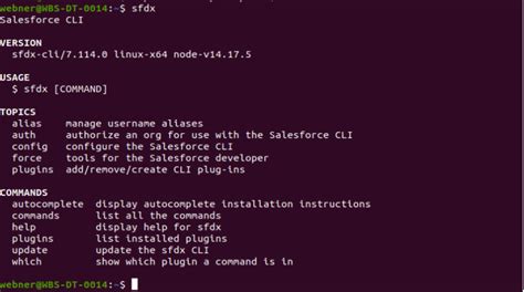 Setup For Salesforce Cli Authorization Of An Org Through Cli In Linux