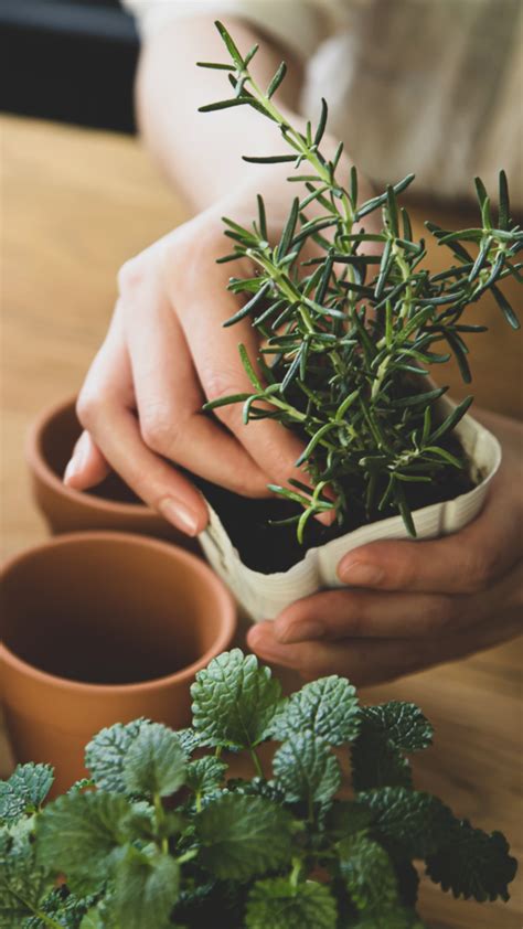 Can You Have Sex If You Have The Flu