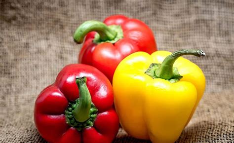 Th C Ph M B Th N Tr Ng D Ng T Ng C Ng Sinh L C M Nh