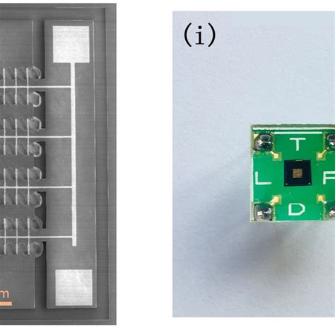 The Fabrication Process Of The Silicon Nanowires Sinw Array Device